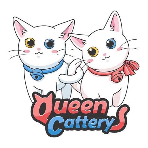 แมวไทยขาวมณี Queen Cattery Prachin Buri