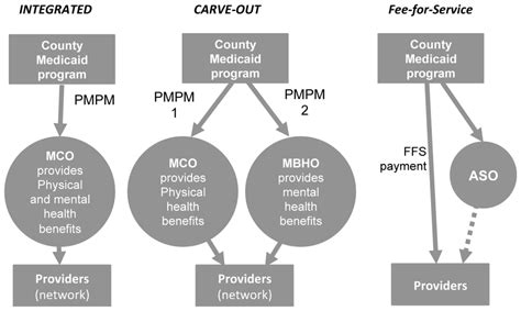Schematic Of County Behavioral Health Organizational Structures Notes