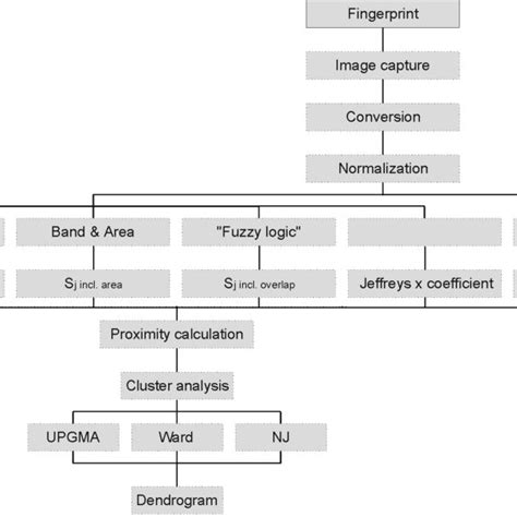 Overview Of Computer Assisted Pattern Analysis Download Scientific Diagram