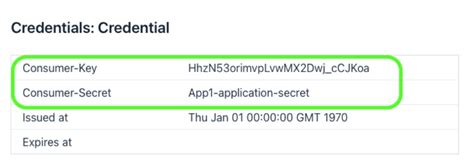 Consumer Secret Of An Application Is Missing For A Subscribed Api In Solace Broker · Issue