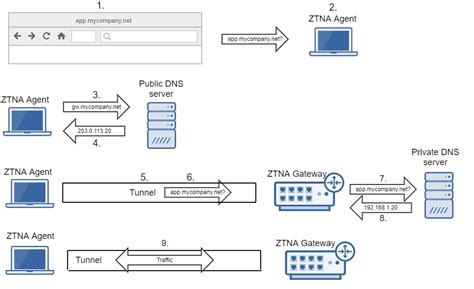 Flujos Dns Documentación De Ztna