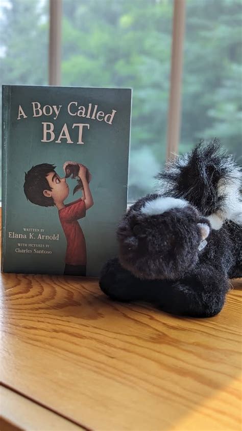A Boy Called Bat
