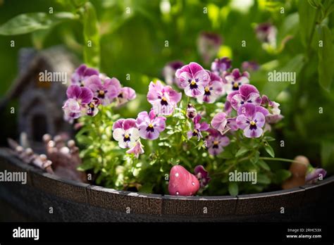 Feen Garten Fotos Und Bildmaterial In Hoher Auflösung Alamy