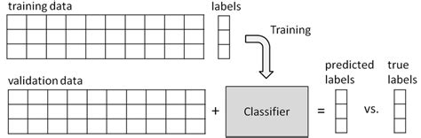Classifier Training Download Scientific Diagram