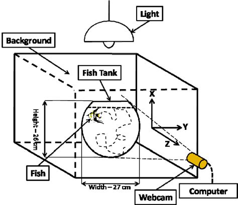 System Setup For Moving Object Tracking Download Scientific Diagram