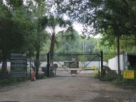 Big Daddy Dave Big Cat Rescue Tampa Florida