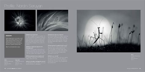 Mastering Macro Photography Tstome