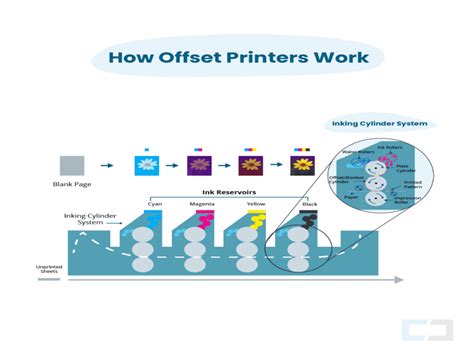 A Step By Step Guide To Understanding The Offset Printing Process