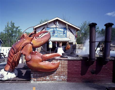From Trash To Treasure The Incredible Journey Of Lobster From Humble