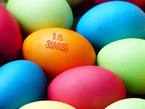 What Do Those Numbers On My Eggs Mean The Krakow Post