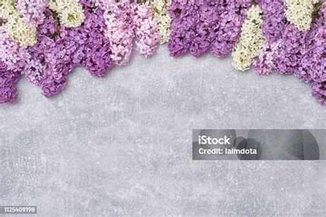 회색 바탕에 라일락 꽃을 봄 보기 상위 공간을 복사 합니다 휴일 개념입니다 개념에 대한 스톡 사진 및 기타 이미지 개념 공휴일 기념일 Istock