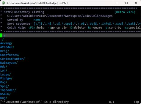 Netrw 简明使用指北 Gensokyo Algorithm Research Institute