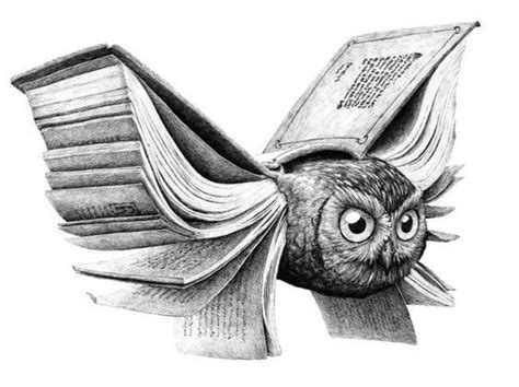 Owl With Wings From Books