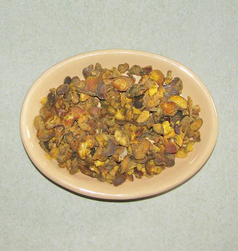 Corydalis Root The Herb Shop