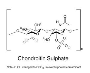Enzymes Enzymes Function Of Chondroitin Sulfate