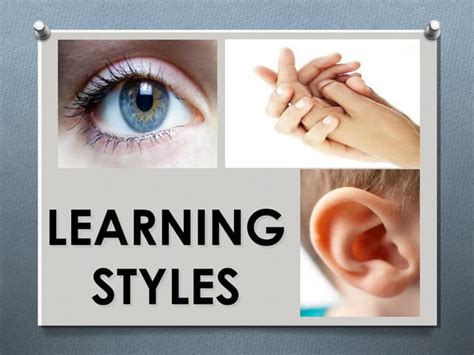 different models of learning styles pot