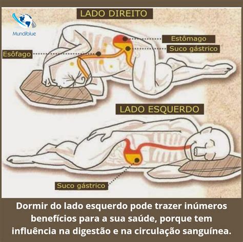 Zinc Y Magnesio Antes De Dormir At Lucy Dean Blog