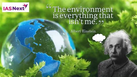 Meaning Of Environment