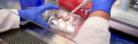 Biochemistry Major College Of Natural Agricultural Sciences