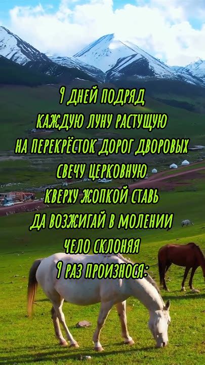 Заговор для удачи в карточных играх Shortsvideo Shortsyoutube Viralshorts Shorts Youtube