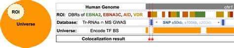 Figure 1 From Gwas Associated Variants Non Genetic Factors And Transient Gwas Associated