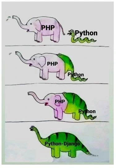 saber fazliahmadi on linkedin php python django