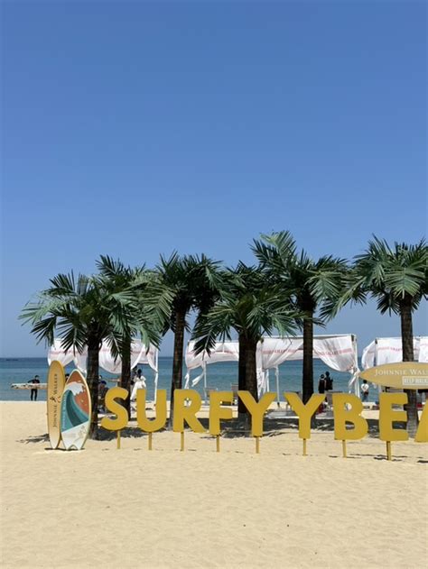 핫한 사람들의 평화로운 여행지 양양 1박2일 여행 With 찐친 네이버 블로그