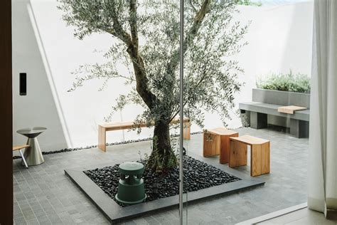 Daily Theory Aesthetic Lace Cafe เปิดใหม่ล่าสุดย่านเจริญนคi ที่ถูกจริตเรามากๆ ต้องไปแล้วแหละ