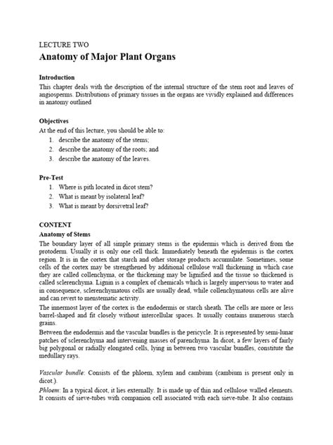 01 Cpe 213 Lecture Two Crop Anatomy Pdf Leaf Plant Stem