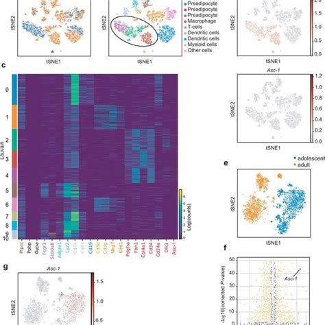 Single Cell Sequencing Reveals Major Differences Between Adolescent And Download Scientific