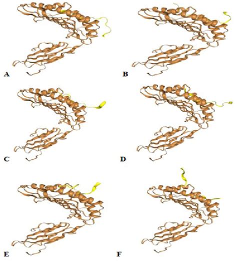 Protein Peptide Docking Using Hpepdock Server A Gvsvitpgtntsnqva