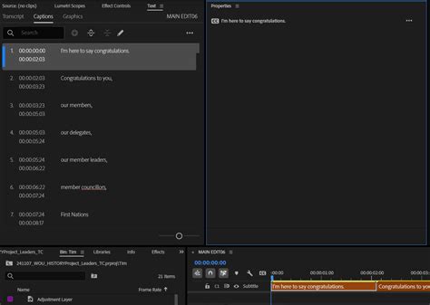 New Properties Panel In Premiere Pro 250 Adobe Product Community