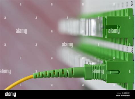 Optical Distribution Panel With Connected Patch Cord Cable Stock Photo Alamy