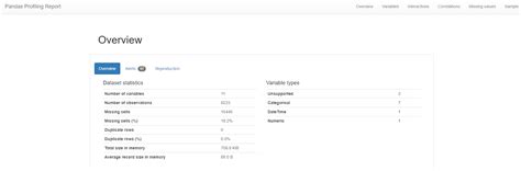 Pandas Profiling A Detailed Explanation Influxdata