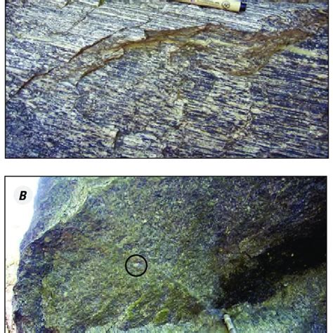 Photographs Of The Tonalite Gneiss Zt Showing The Strongly Lineated Download Scientific