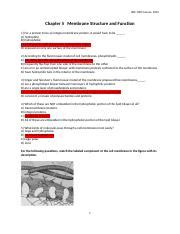 Chapter 5 Membrane Structure And Function TestQ 9 20 16 Docx BSC 1005 Course 2016 Chapter 5
