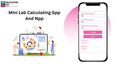 Mini Lab Calculating Gpp And Npp CalculatorsPot