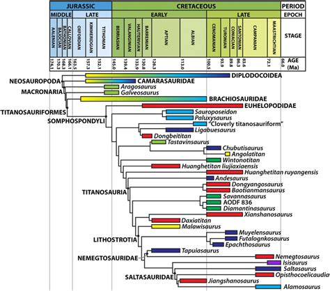 Time Calibrated Phylogenetic Tree With Basal Nodes Collapsed For Download Scientific Diagram