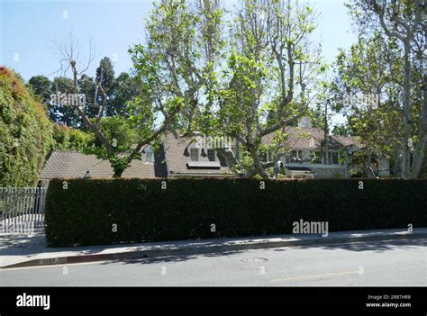 Beverly Hills California Usa 17th June 2023 Actor Jack Mann Former