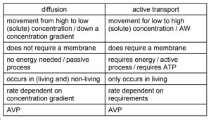 IGCSE Biology 0610 6 2 Leaf Structure IGCSE Style Questions Paper 3