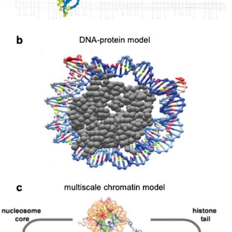 Three Multiscalehybrid Scale Models Used To Solve Tractability