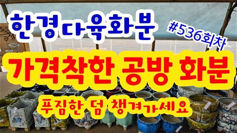 2024년 6월 4일536회차 오전 영상 한경다육화분 수제공방분 공방분 다육화분 화분 다육이 다육식물 한경화분 야생화 아프리카식물 Youtube