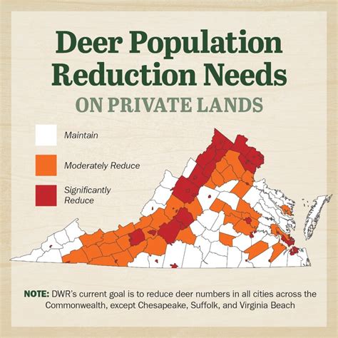 Wildlife Officials Warn Of Deer Overpopulation