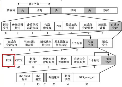 pcr在ts流中的作用 csdn博客