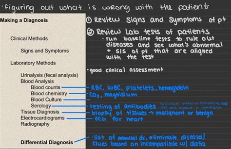 Intro To Patho Flashcards Quizlet