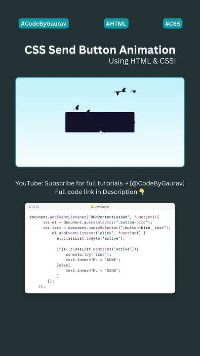 cool send button animation using css 🚀 webdevelopment webcoding