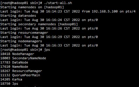 Hadoop DataNode不能启动或不能全部启动 大数据 java技术小栈