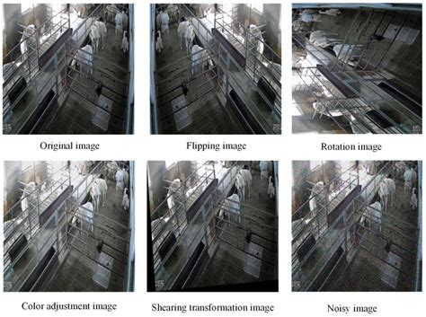A Sheep Behavior Recognition Approach Based On Improved Fess Yolov8n Neural Network Pmc