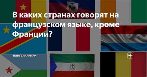 В каких странах говорят на французском языке кроме Франции Лингванариум Дзен