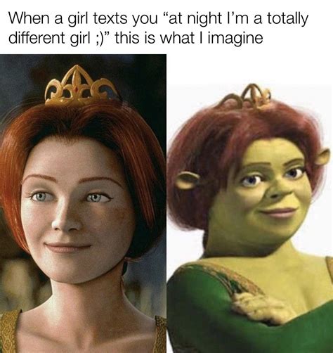If Shrek Approves So Do I ~ Daily Funny Memes